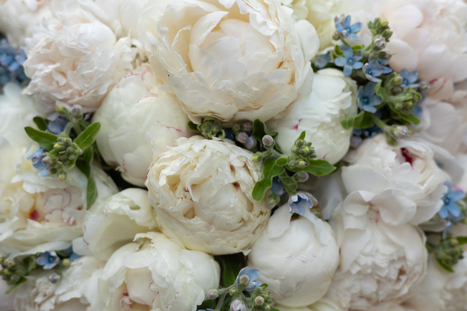 NYC Flowers delivery – A&M Floral Place