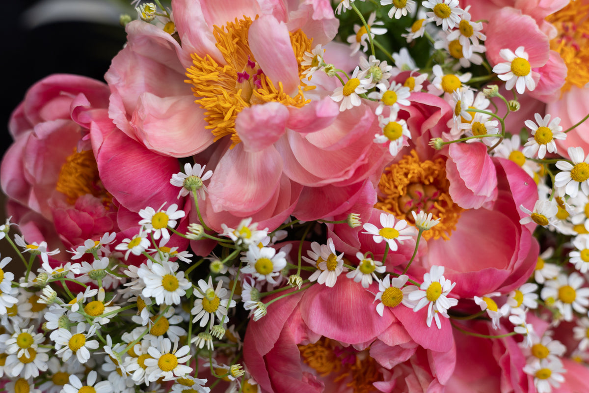 NYC Flowers delivery – A&M Floral Place