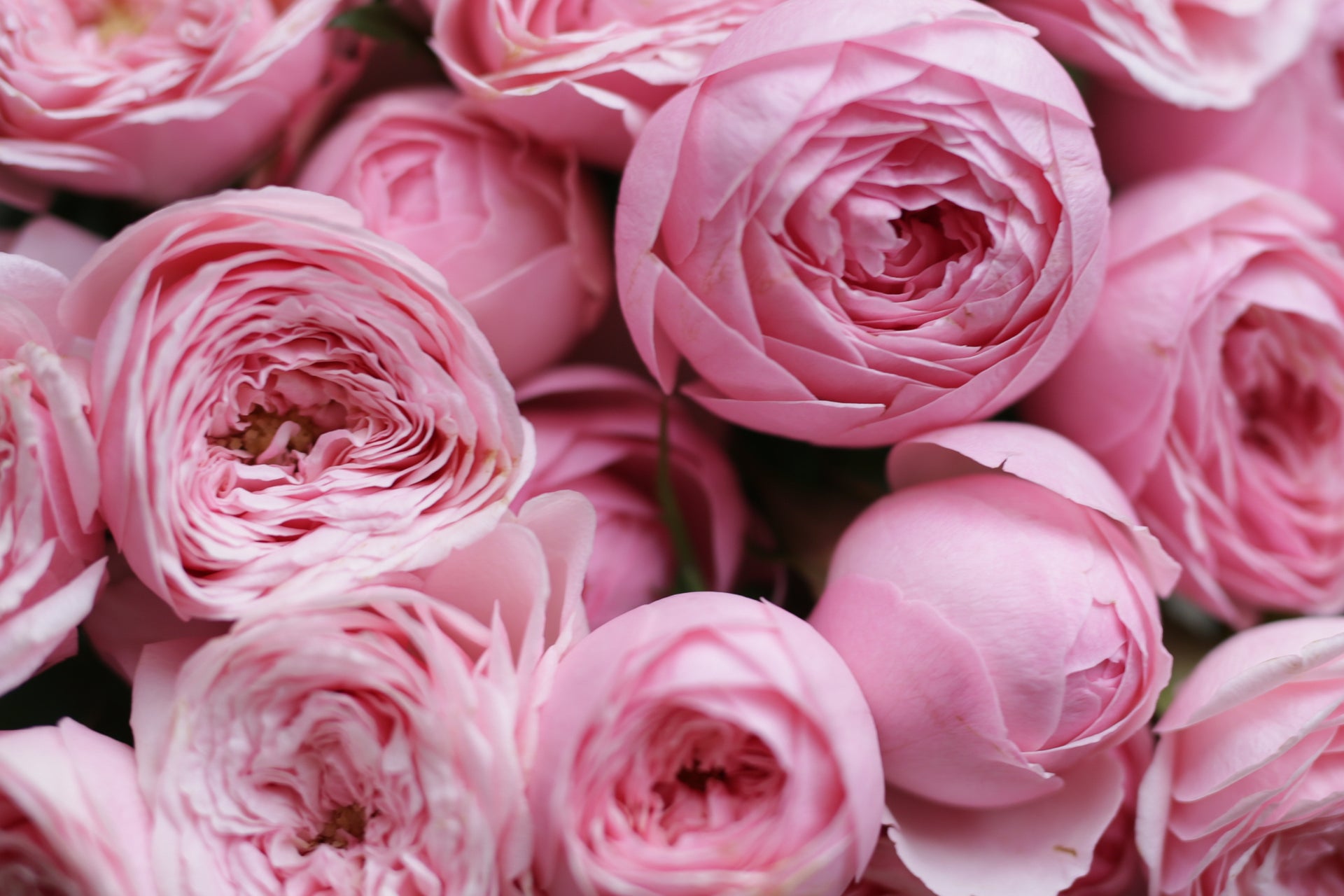 NYC Flowers delivery – A&M Floral Place